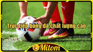 Mitom TV - Trực tiếp bóng đá bản quyền MitomTV - Mì Tôm TV