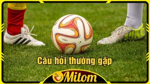 Mitom TV - Trực tiếp bóng đá bản quyền MitomTV - Mì Tôm TV